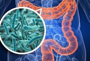 Microbiota Intestinale e Vaginale - Laboratorio di Analisi